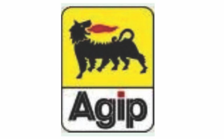 Our Partner & Our Clients – SOWSCO Well Services (Nig.) Ltd